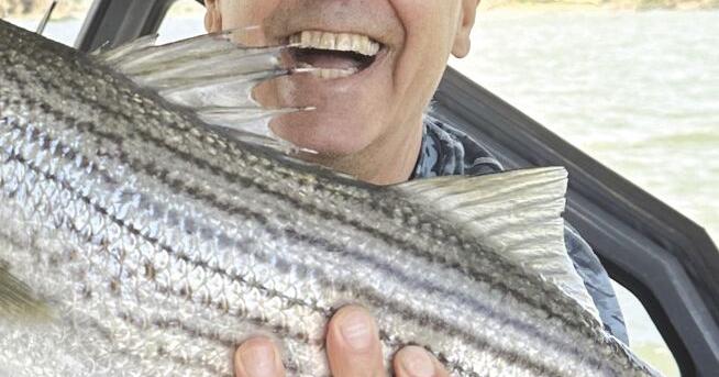 Michael Raynal | Obituaries | mtdemocrat.com