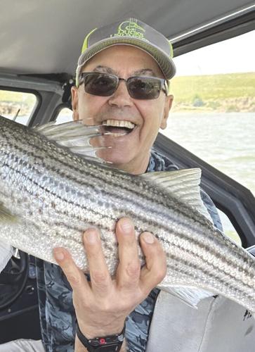 Michael Raynal | Obituaries | mtdemocrat.com