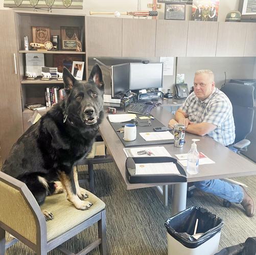 Good boy, Apollo — K9 officer dies after off-duty medical emergency ...