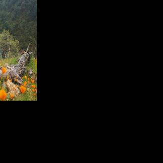 Day Hiker: Windy Point Trail | Prospecting | mtdemocrat.com