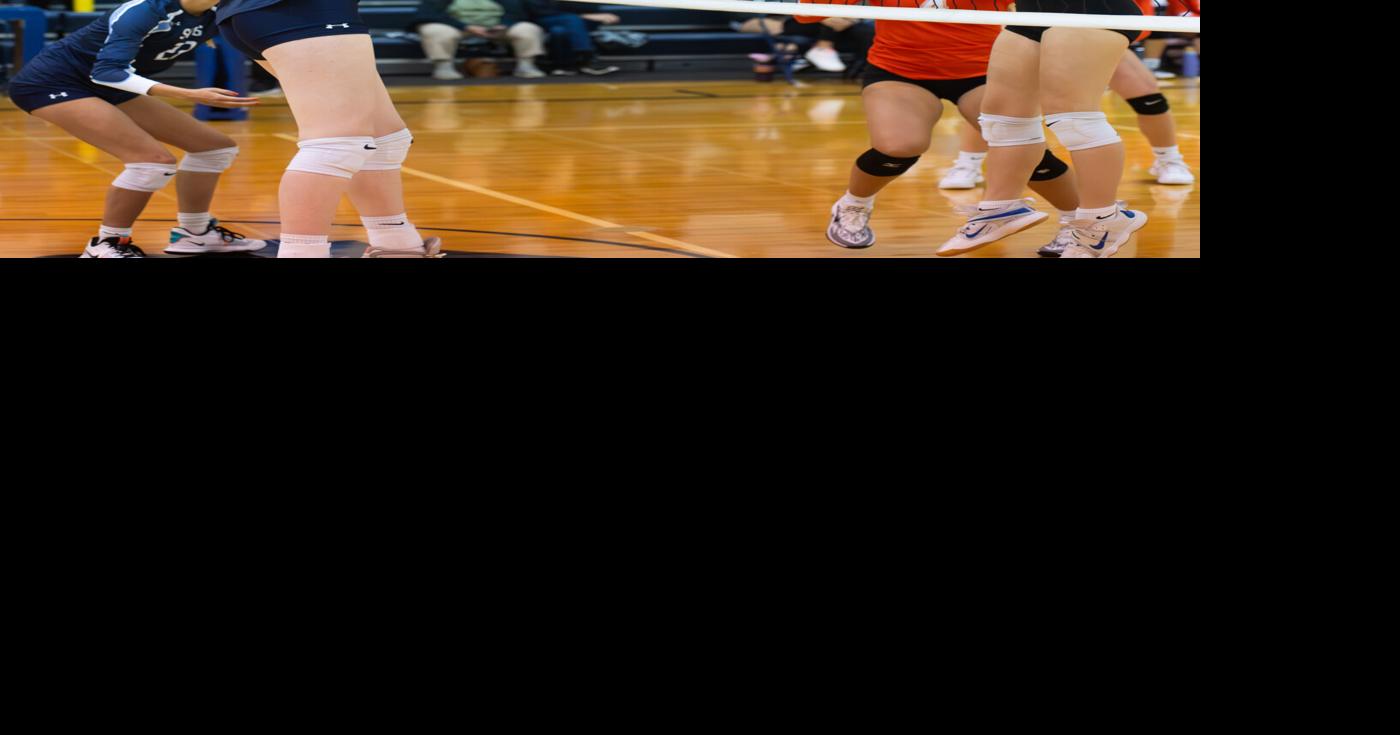 Two local volleyball players named to All-State teams | High School ...