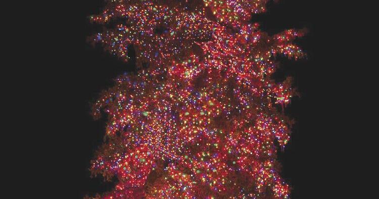 Hospice memorial tree ceremony goes virtual | Community | mtexpress.com