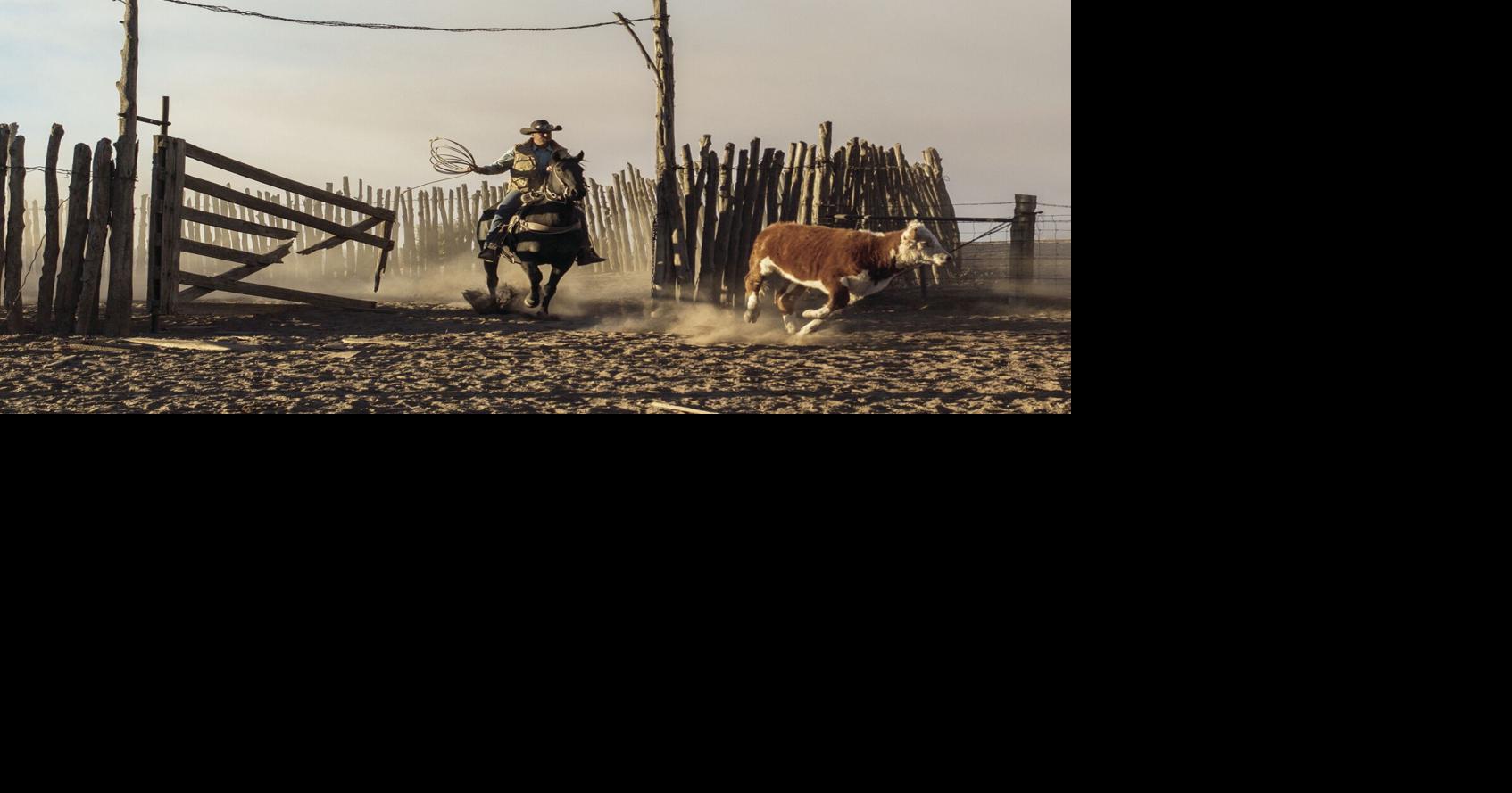 ‘Cowboys—A Documentary Portrait’ paints an intimate vision of an ...