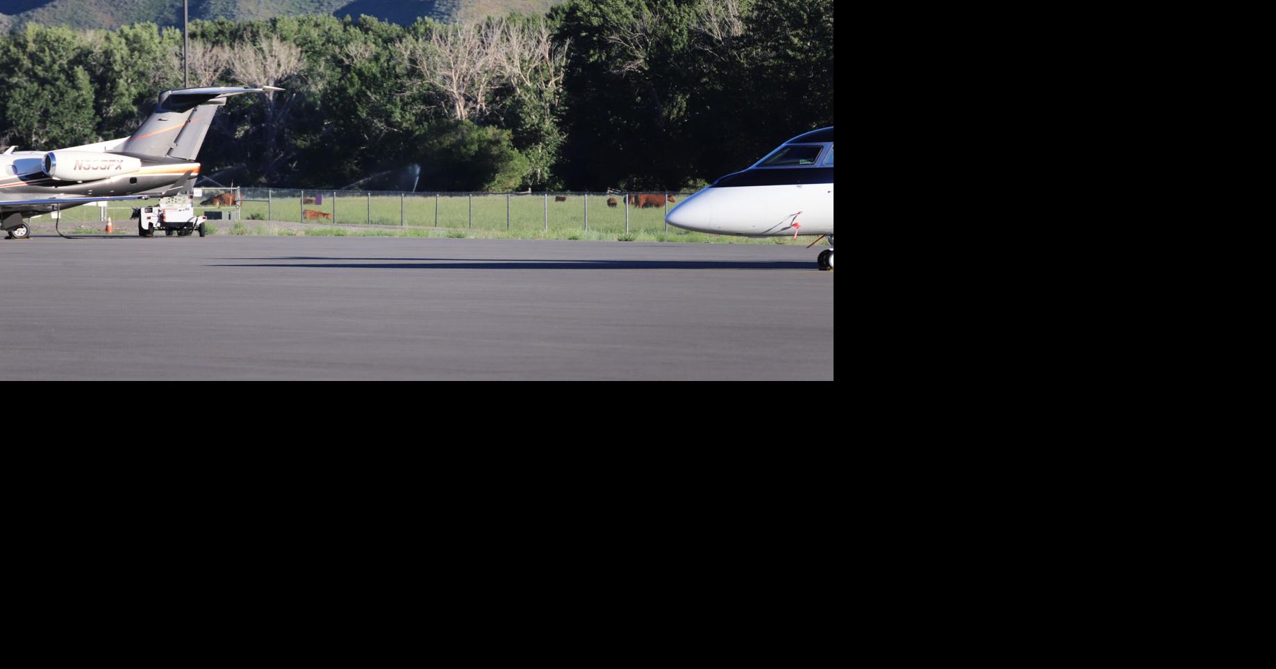 Friedman poised to contract with company on new private terminal ...