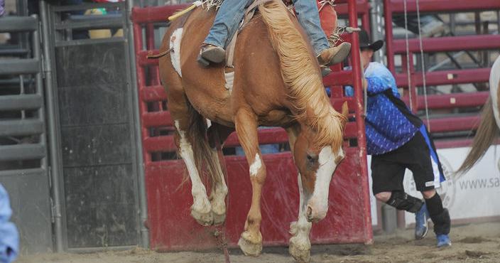 Old West holiday rodeo packs the Hailey bleachers | Local | mtexpress.com