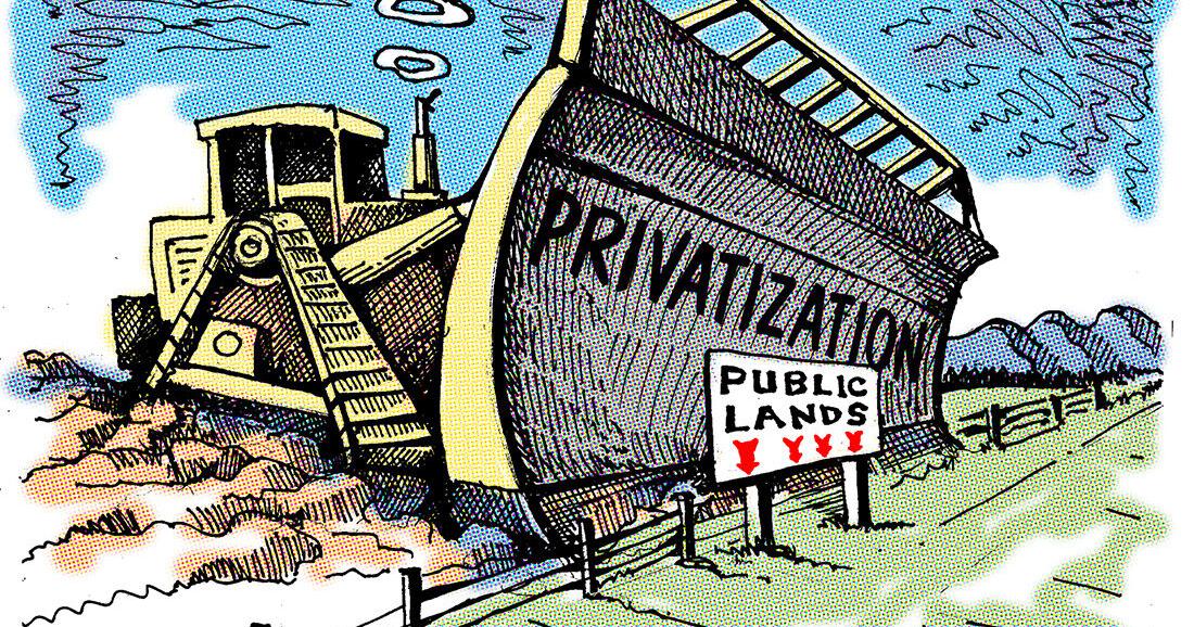 Privatization | Cartoon | mtexpress.com