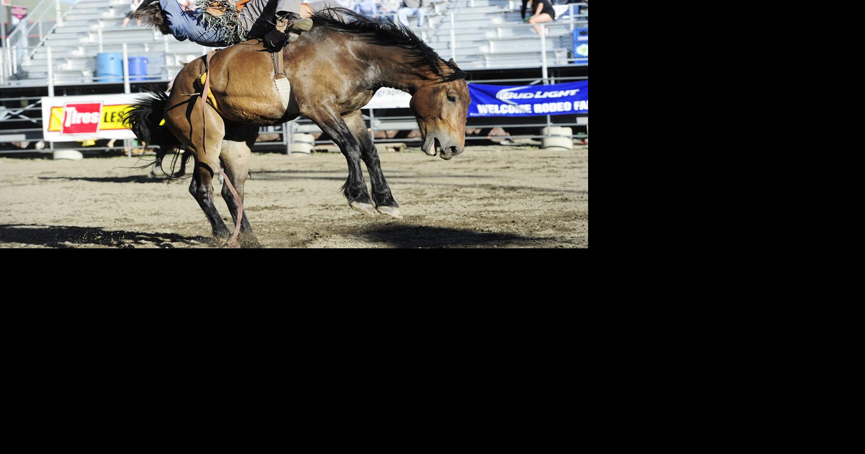 'You just have to experience it': What to know about the annual Hailey ...