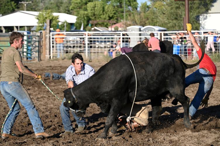 Mutton bustin', calf riding and stick horse racing was part of the fun ...