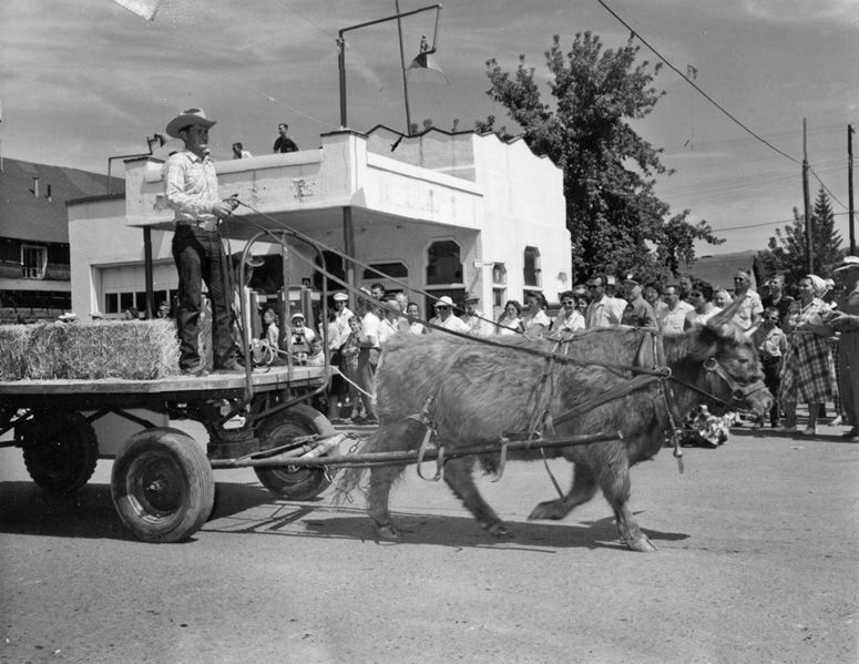 How Wagon Days came back to life | Special Sections | mtexpress.com