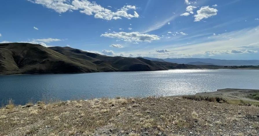 Fish salvaged ordered for Mackay Reservoir | Environment | mtexpress.com