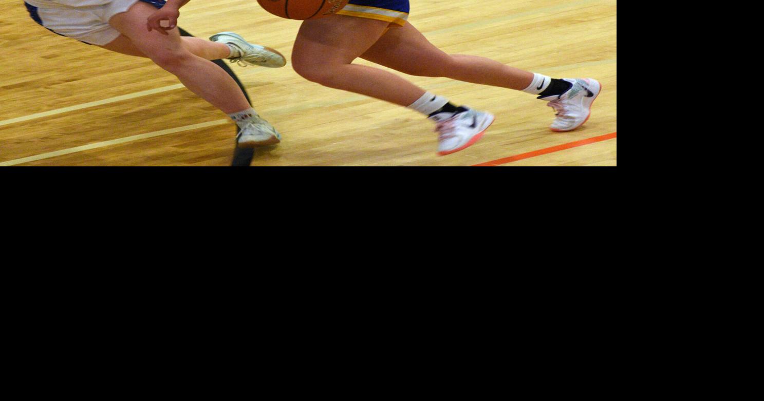 Panthers outlast Titans to earn 1A state tournament berth | High School ...