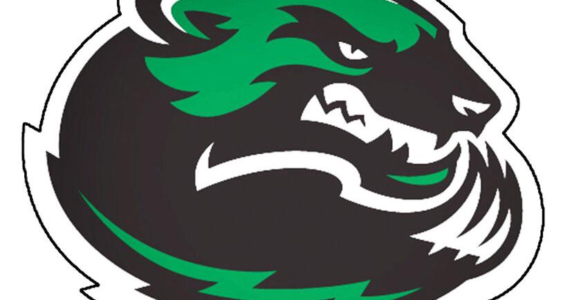 Wood River baseball splits with Burley | Sports | mtexpress.com