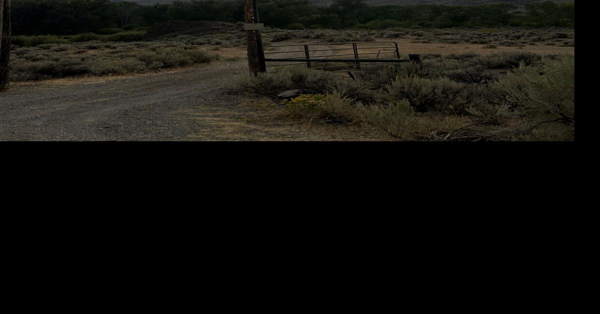 Frog Fire grows to 1,800 acres | Breaking News | mtexpress.com