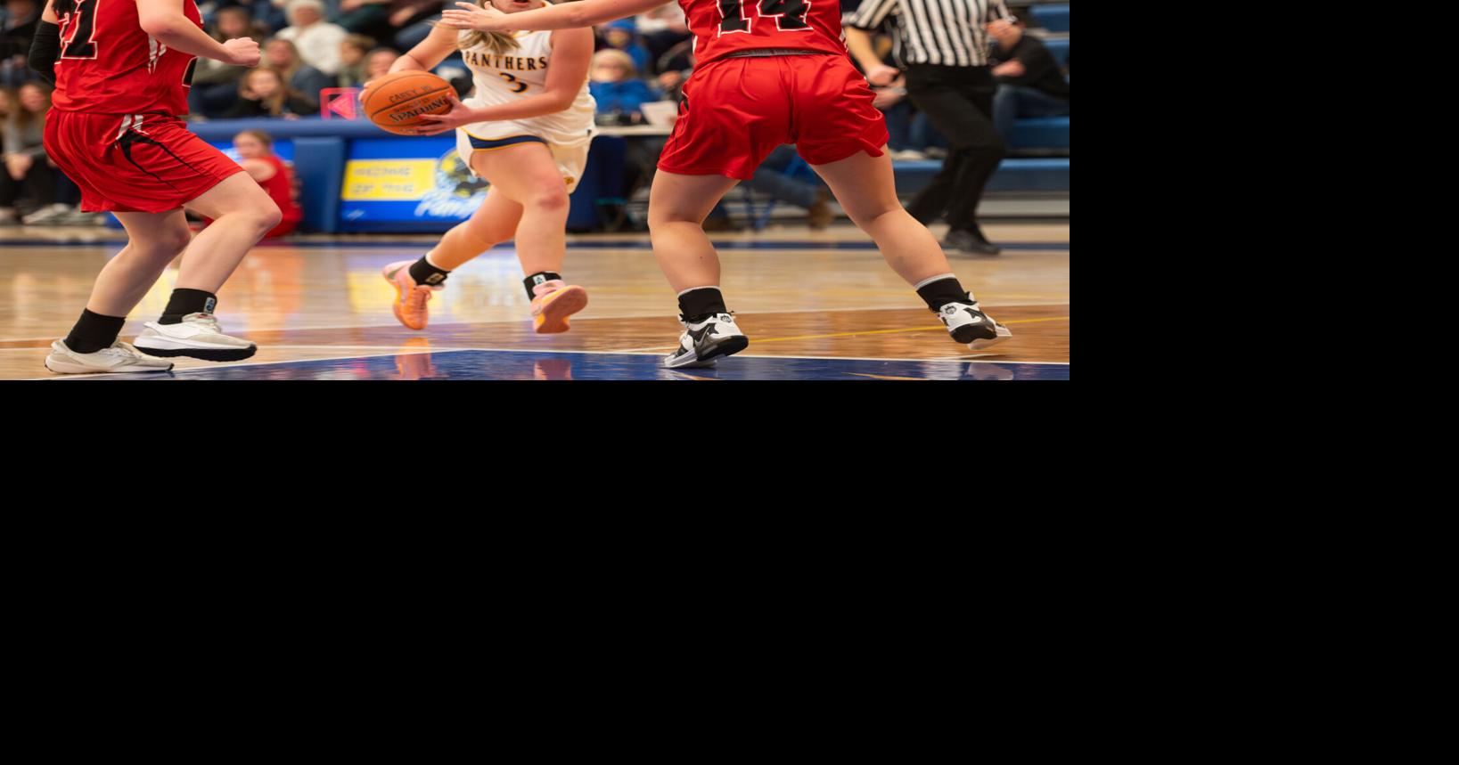 Young Panthers squad looks to build on experience in 2024-25 | High ...