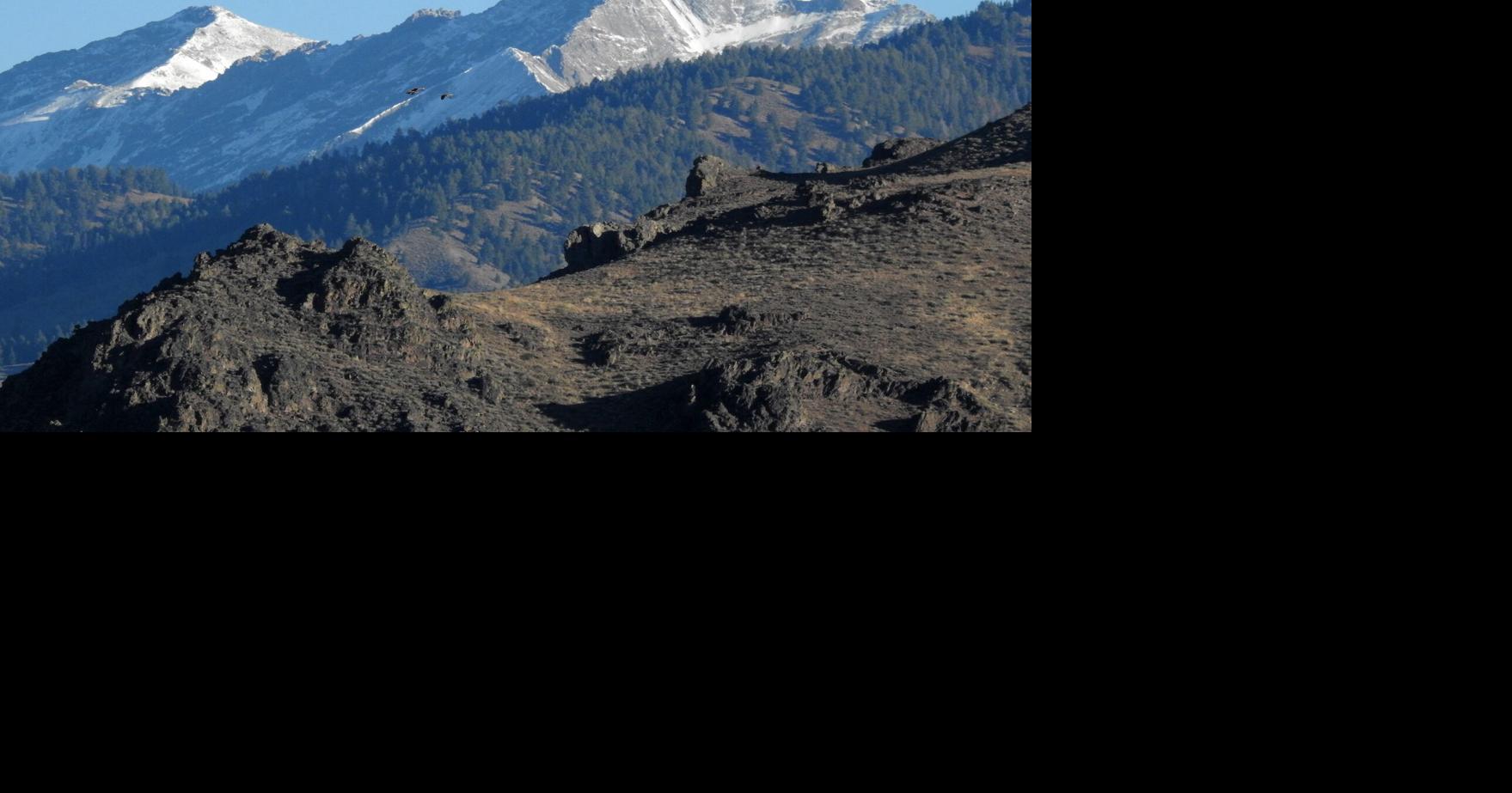 Forest Service seeks public comment on new outfitter plan | Environment ...