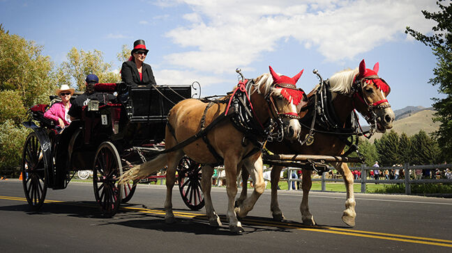 Wagon Days | Gallery | mtexpress.com
