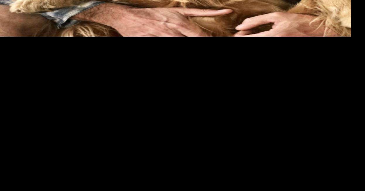 Daniel Scott Higgins | Obituaries | mtexpress.com