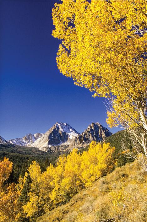 Photographer pays homage to the White Clouds | Arts | mtexpress.com