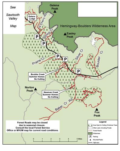 How to get your own Christmas tree | Special Sections | mtexpress.com