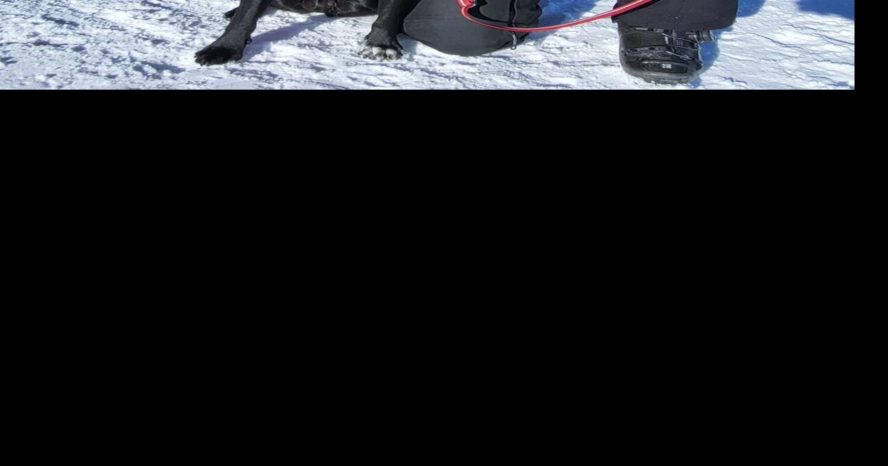 Avalanche dogs will come to the rescue | Features | mtexpress.com