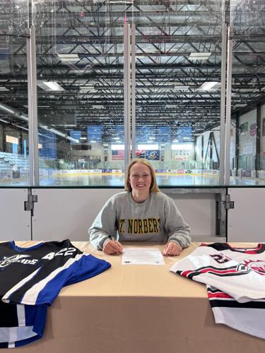 Suns goalie Grendel Sprong signs with St. Norbert | High School ...