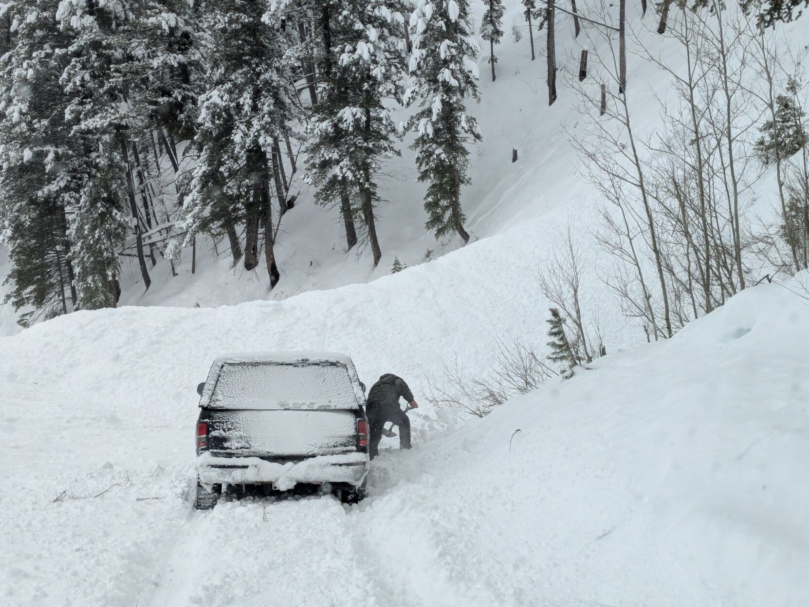 Sawtooth Avalanche Center logs 150+ avalanches in 5 days | Environment ...