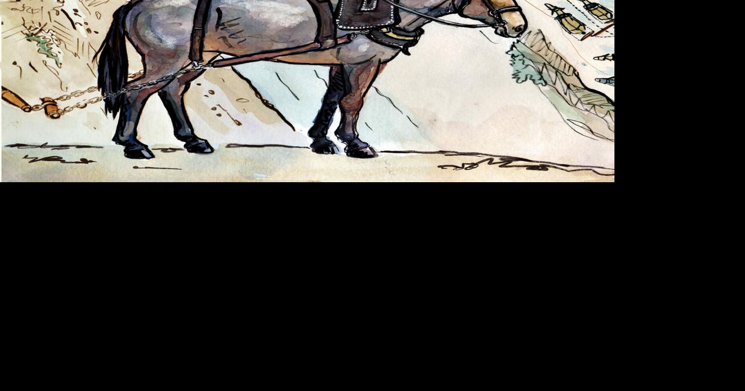 20-Mule-Hitch Jerk Line Mechanics | Special Sections | mtexpress.com