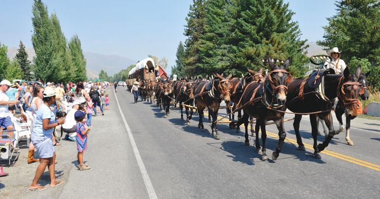 Stick to the mules: Bobby Tanner hopes to bring mining heritage alive ...