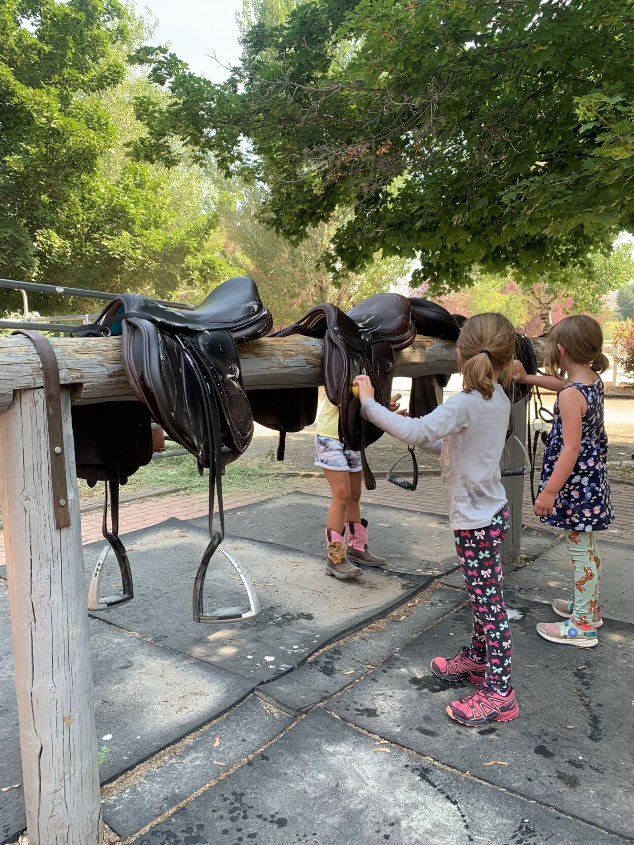 Saddle up, partner! | Special Sections | mtexpress.com