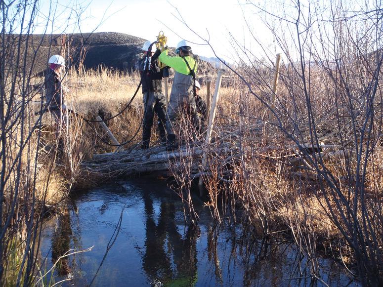 ‘Beaver dams’ built to help restore burned area | Environment ...