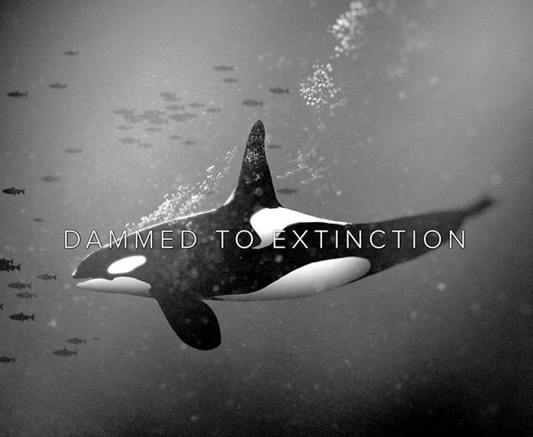 Dammed if you do, dammed if you don’t | Events | mtexpress.com