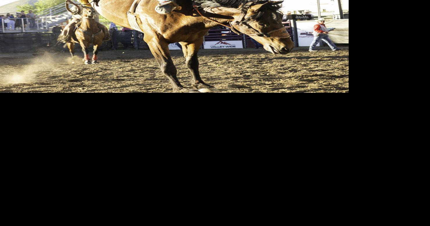 Days of the Old West Rodeo | Gallery | mtexpress.com