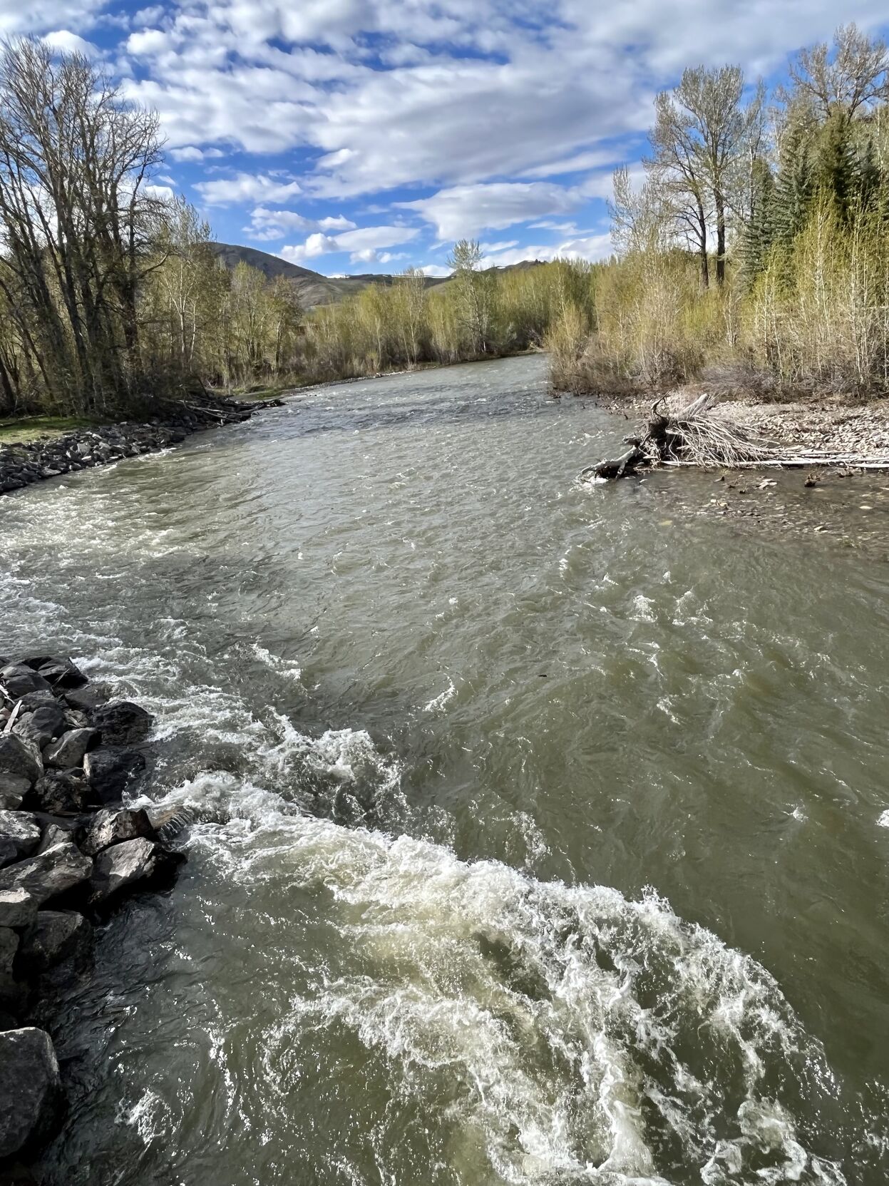 Rising river spotlights floodplain health, challenges | Environment ...