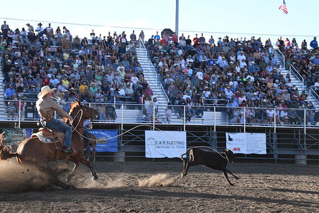 Days of the Old West Rodeo | Gallery | mtexpress.com