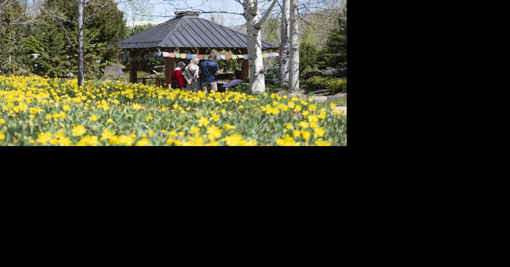 Botanical garden to celebrate 20 years of the Garden of Infinite ...