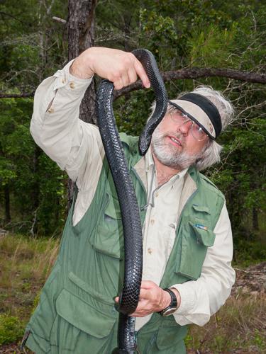 Hailey library to host snake expert, play reading | Events | mtexpress.com