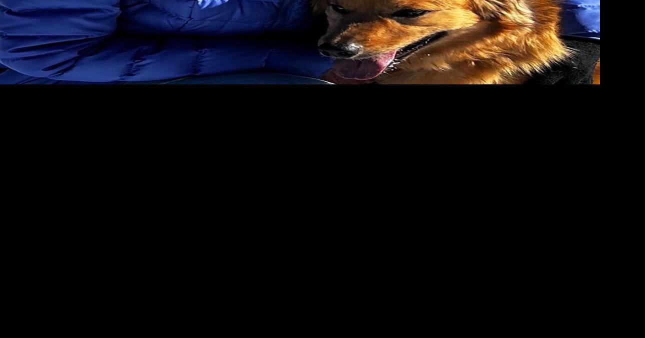 Hailey artist invited to premier national craft festival | Arts ...