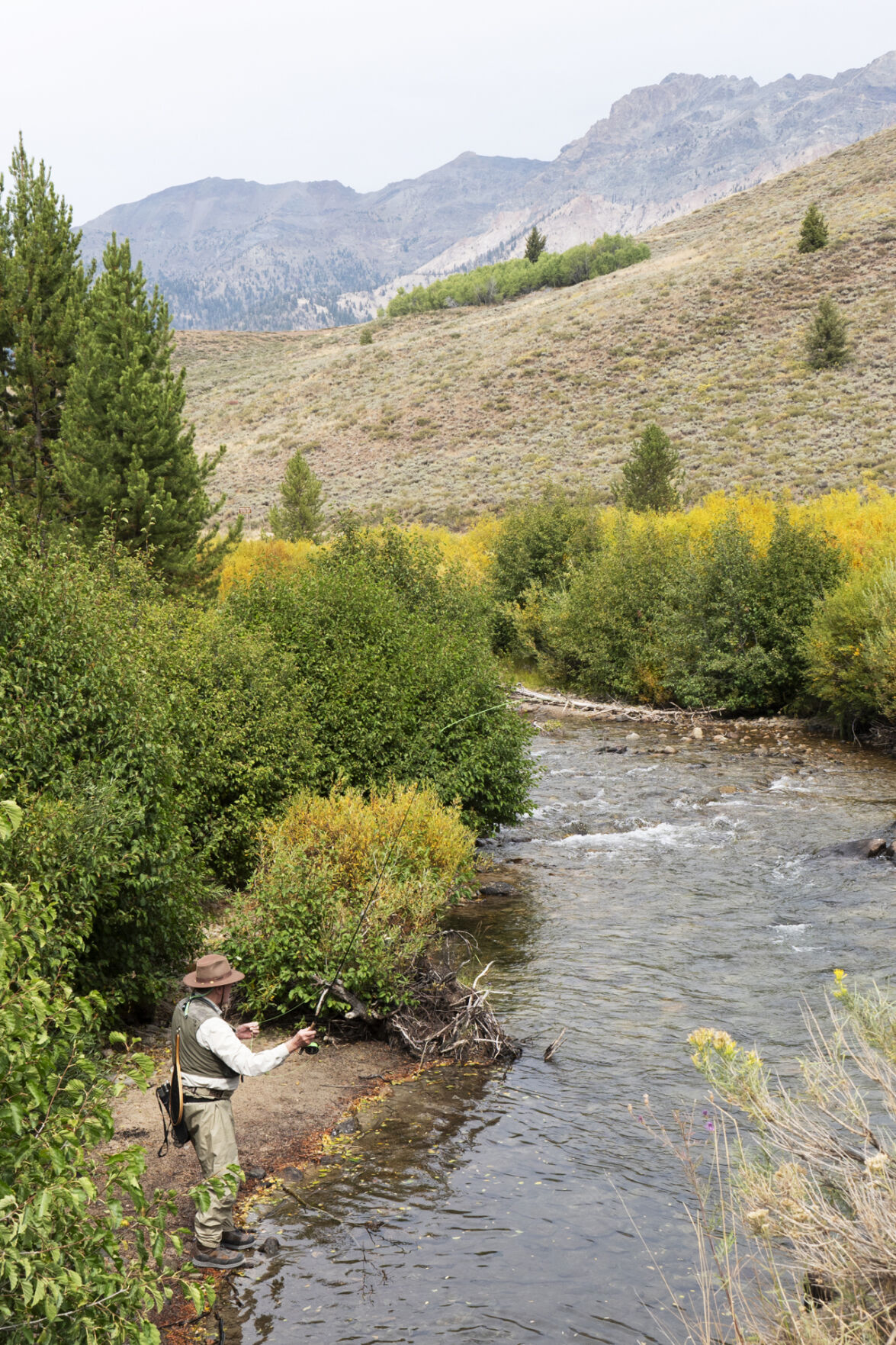 Ketchum nonprofit to release 'State of the Big Wood River' | Arts ...