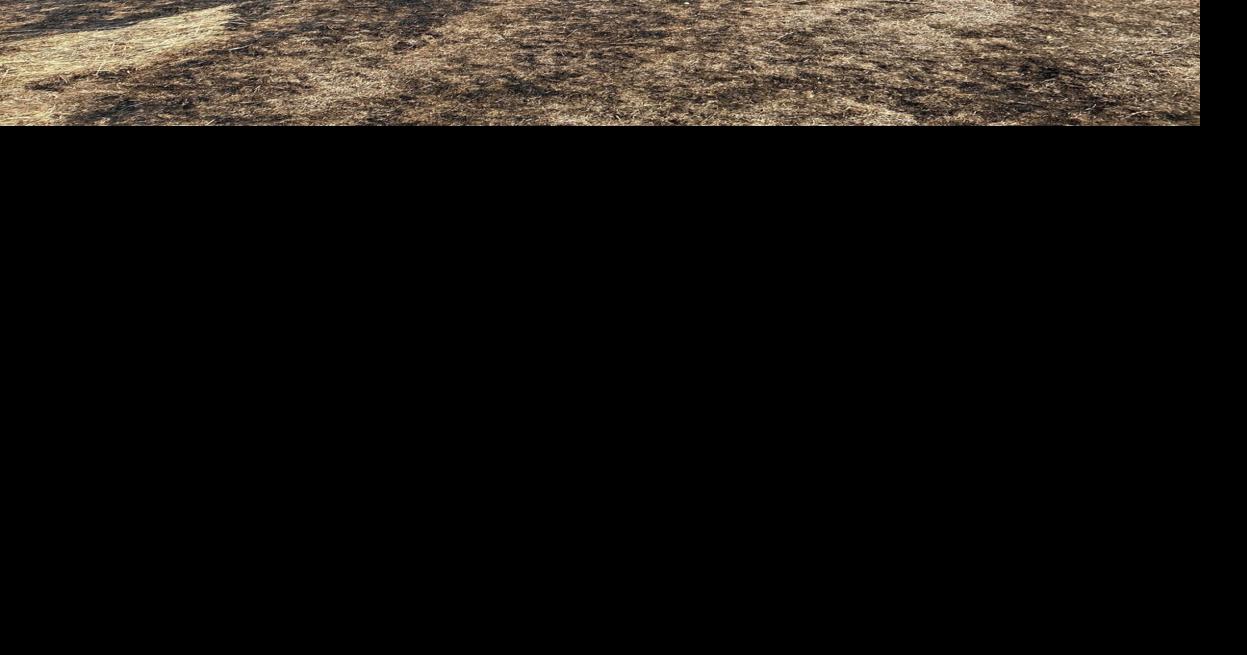 Salmon-Challis National Forest reports first wildfire of 2025 ...