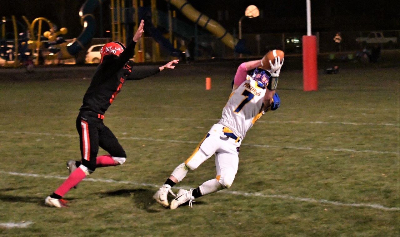 Dyeing & Batik Grid Panther Priced by the Half Yard Visual Arts etna.com.pe