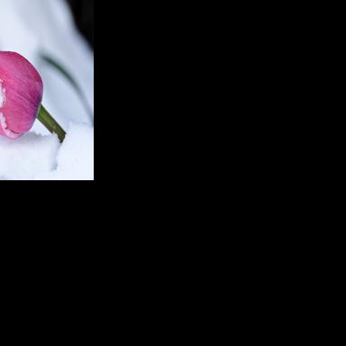 Sights of Spring | Gallery | mtexpress.com