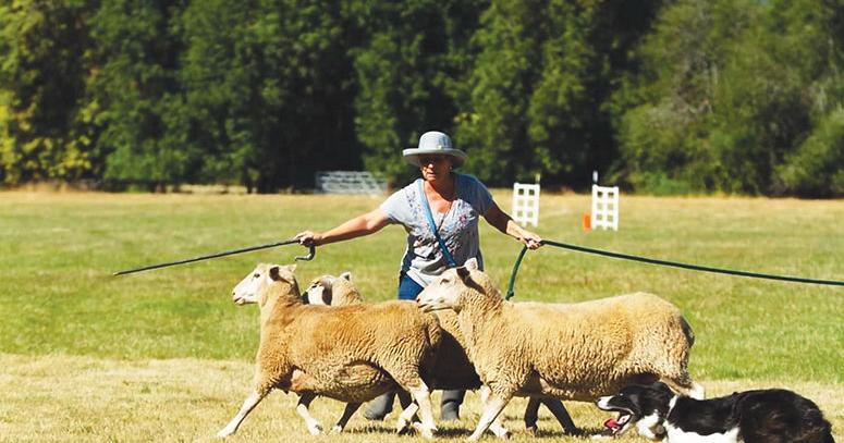 Q&A with Kelly Ware | Special Sections | mtexpress.com