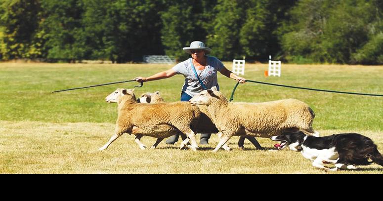 Q&A with Kelly Ware | Special Sections | mtexpress.com