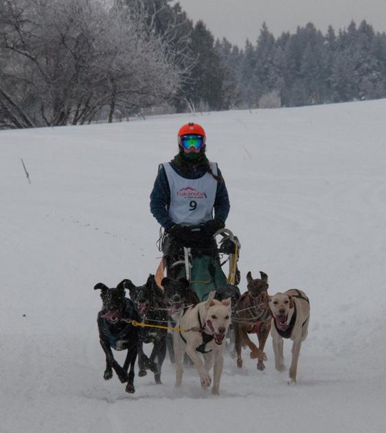 Sled dog racer describes Stage Stop trek | Local | mtexpress.com