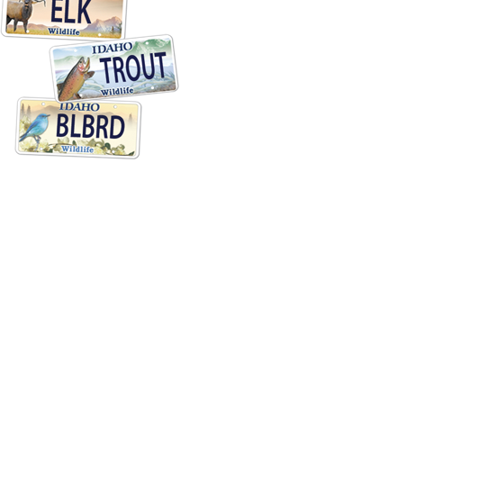 Group seeking new wildlife license-plate designs | Arts | mtexpress.com