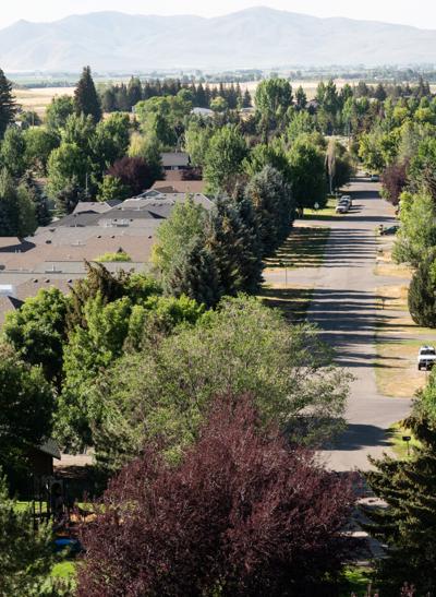 Bellevue P&Z agrees to recommend streetside parking provision ...