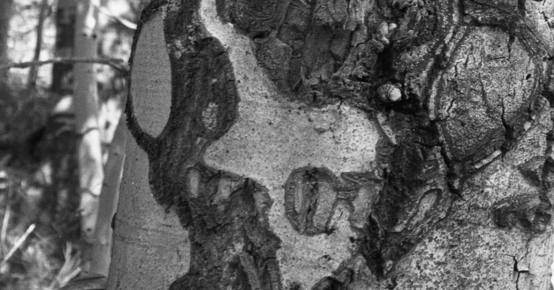 Rear View: Basque Sheepherder Arborglyphs | Features | mtexpress.com