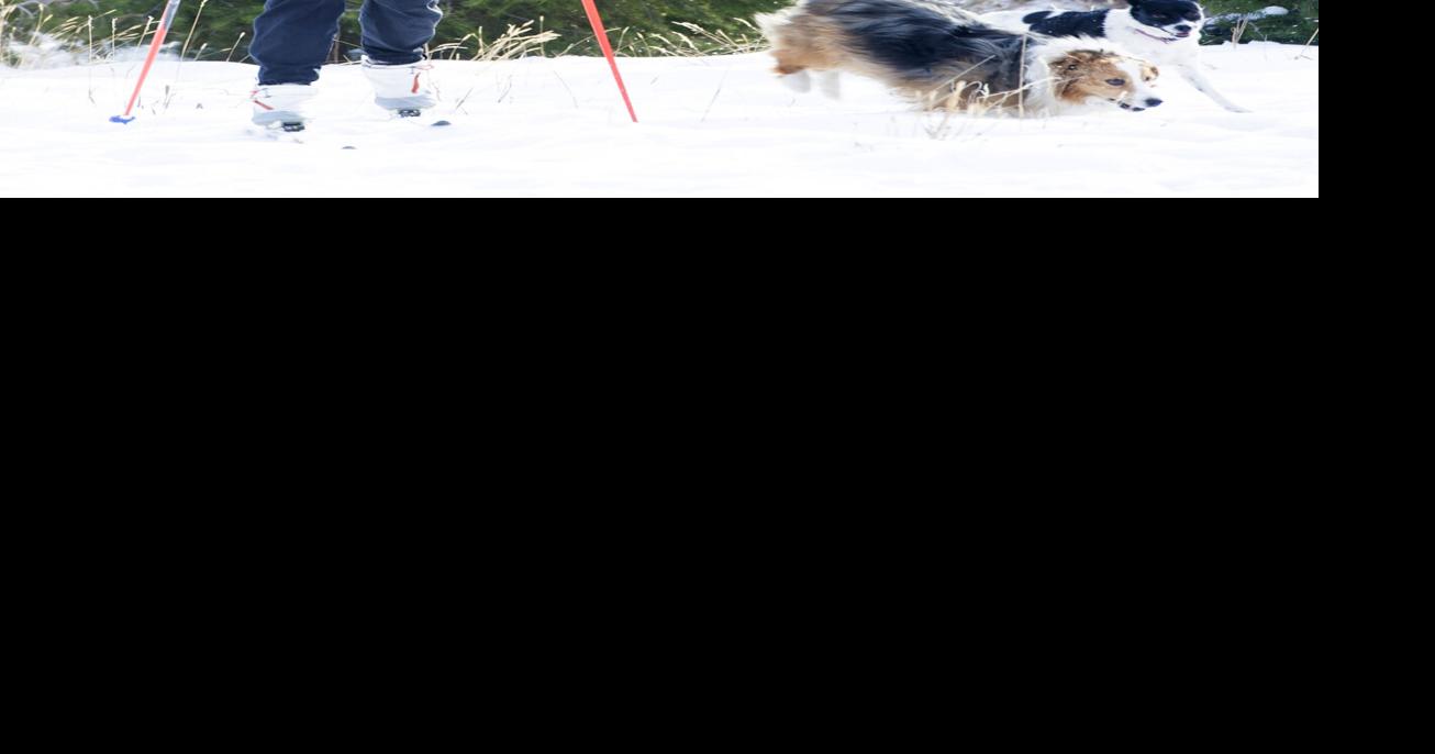 For over 30 years, Cindy Hamlin has been the ‘heartbeat of the northern trails’ | Features ...