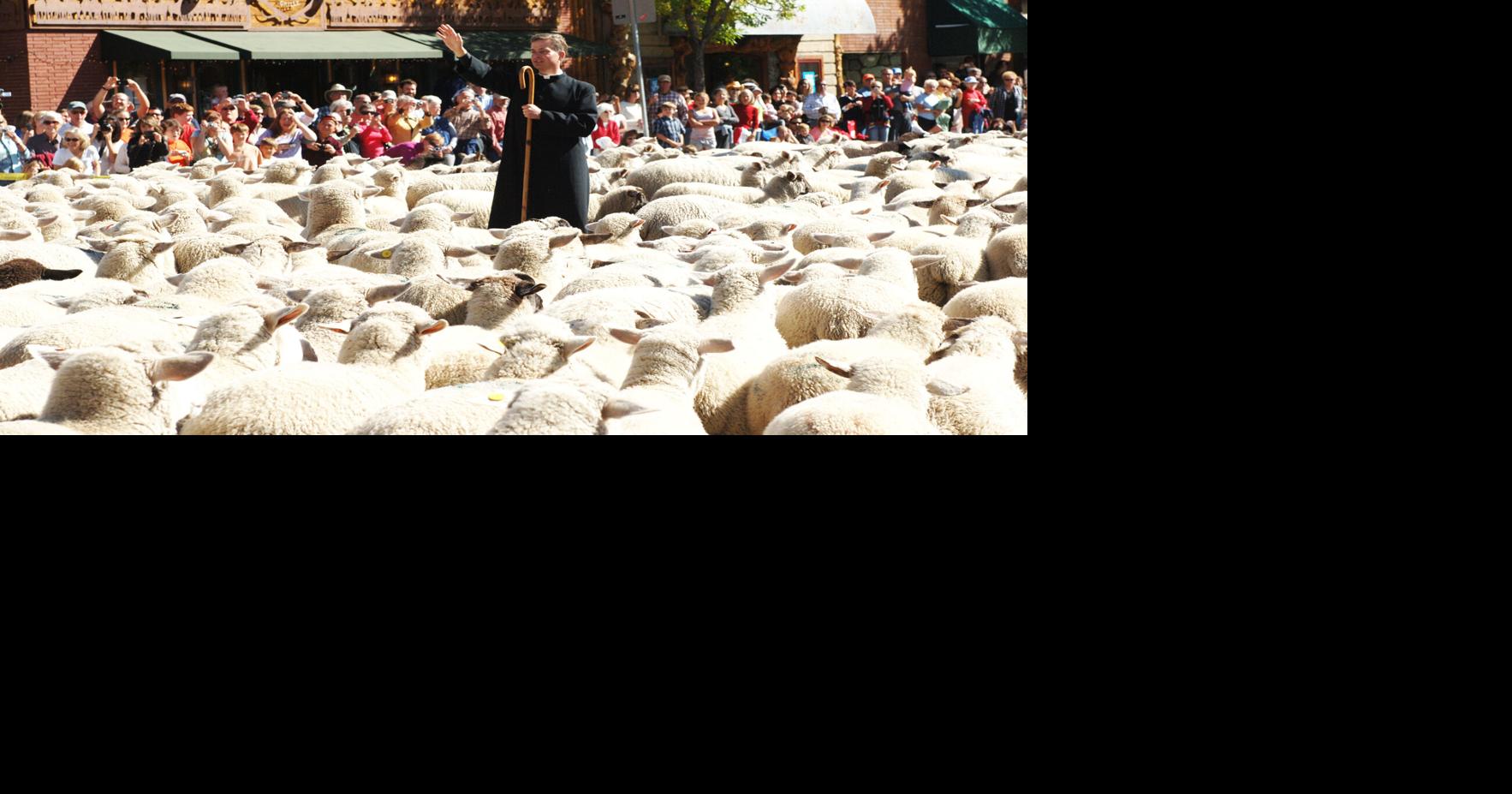 Help keep spectators and animals safe in parade | Special Sections ...