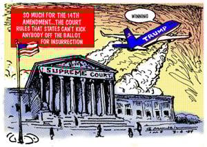 14th Amendment | Cartoon | mtexpress.com